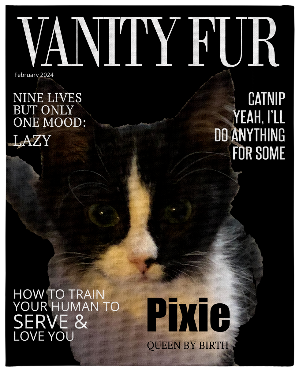 Vanity Fur Magazine Cover 16x20 Canvas – HSTORM Printing